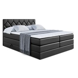 BOXSPRINGBETT CATOR KING - 140x200 - H3/H4 - Schwarz Hochglanz