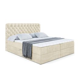 BOXBETT mit Matratze H3 und Lattenrost - BOXI8 - 140x200 cm Beige