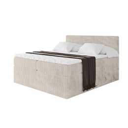 BOXSPRINGBETT mit Matratze H3|H4 und Lattenrost - TOLO KING 140x200 Cord - Creme