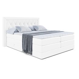 BOXSPRINGBETT NOEL KING - 160 x 200 - H3/H4 - Wei&szlig; Hochglanz