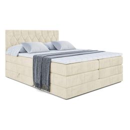 BOXSPRINGBETT VELANTO-BZ KING - 140 x 200 - H3/H4 - Beige