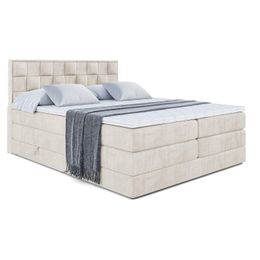 BOXSPRINGBETT ZAFIRA-BZ KING - 160 x 200 - H3/H4 - Ecru