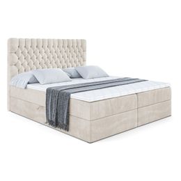 BOXBETT SERENE - 140x200 Creme