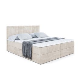 BOXBETT mit Matratze H3 und Lattenrost - MOETI - 140x200 cm Ecru