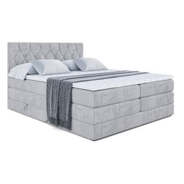 BOXSPRINGBETT VELANTO-BZ KING - 160 x 200 - H3/H4 - Hellgrau