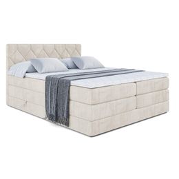 BOXSPRINGBETT CATOR KING - 140x200 - H3/H4 - Creme