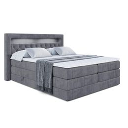 BOXSPRINGBETT NOEL GOLD KING - 160x200 - H3/H4 - Dunkelgrau