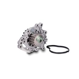 INA Wasserpumpe 538088210 f&uuml;r Ford Vaughall Fiat Peugeot LEXUS