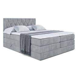 BOXSPRINGBETT VELANTO-BZ KING - 160 x 200 - H3/H4 - Grau