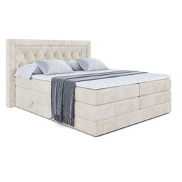 BOXSPRINGBETT NOEL KING - 160 x 200 - H3/H4 - Ecru