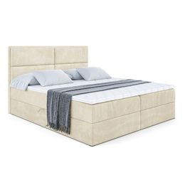 BOXBETT mit Matratze H4 und Lattenrost - AURA - 140x200 - H4 - Beige