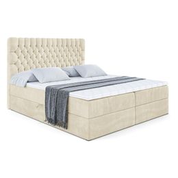 BOXBETT mit Matratze H3 und Lattenrost - SERENE - 140x200 Beige