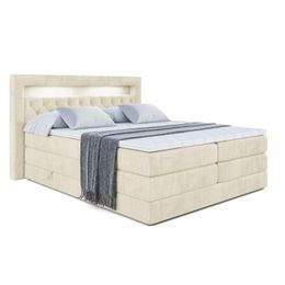 BOXSPRINGBETT NOEL GOLD KING - 140x200 - H3/H4 - Beige