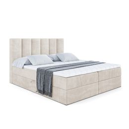 BOXBETT mit Matratze H4 und Lattenrost - BOXI1 - 140x200 cm - H4 - Ecru