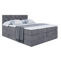 BOXSPRINGBETT CATOR KING - 180x200 - H3/H4 - Dunkelgrau