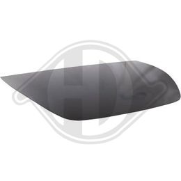 DIEDERICHS Motorhaube 7960000 f&uuml;r Tesla