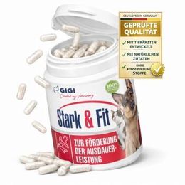 GIGI VET Stark & Fit 90 St&uuml;ck
