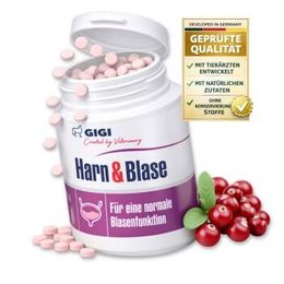 GIGI VET Harn & Blase 90 St&uuml;ck
