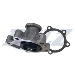 DOLZ Wasserpumpe b145 f&uuml;r BYD