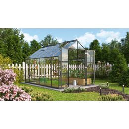 Gew&auml;chshaus Vitavia "Domus 9900", schwarz, B:257cm H:253,9cm T:387cm, Gew&auml;chsh&auml;user, mit Doppelschwingt&uuml;ren, bodentiefer T&uuml;rschwelle, 3 mm Sicherheitsglas