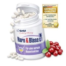 GIGI VET Harn & Blase 14 St&uuml;ck