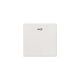 Siemens Indus.Sector Wippe m.Symbol T&uuml;r&ouml;ff. Delta Vita, tws 5TG6208)