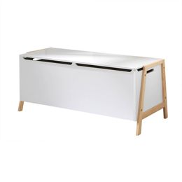 AUFBEWAHRUNGSTRUHE mit 2 F&auml;chern f&uuml;r Kinder 99/40/43 cm
