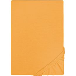 Spannbettlaken Biberna "Leila", gelb (safran), L:200cm, Jersey, Obermaterial: 100% Baumwolle, Bettlaken, Spannbettlaken, Bettlaken aus 100% Baumwolle, f&uuml;r Matratzenh&ouml;hen bis 22 cm