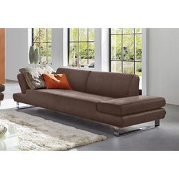 3-Sitzer W.Schillig "taboo Designsofa mit hohem Sitzkomfort, Breite 232cm, Sitztiefe 69cm", braun (chocolate s37), B:232cm H:76cm T:101cm, Flachgewebe S22 (100% Polyester);Stoff S37 (100% Polyester): Luxus-Microfaser in Lederoptik;Longlife Xtra-Leder Z59: Glattleder mit modischer Pr&auml;gung. Hautst&auml;rke 0, 9 - 1, 1 mm;Longlife Xtra-Leder Z69: Das feinnarbige, gedeckte Softleder Z69 besticht durch sein