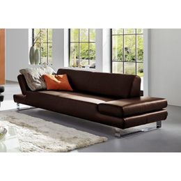 3-Sitzer W.Schillig "taboo Designsofa mit hohem Sitzkomfort, Breite 232cm, Sitztiefe 59cm", braun (mocca z69), B:232cm H:76cm T:91cm, Flachgewebe S22 (100% Polyester);Stoff S37 (100% Polyester): Luxus-Microfaser in Lederoptik;Longlife Xtra-Leder Z59: Glattleder mit modischer Pr&auml;gung. Hautst&auml;rke 0, 9 - 1, 1 mm;Longlife Xtra-Leder Z69: Das feinnarbige, gedeckte Softleder Z69 besticht durch seine au&szlig;