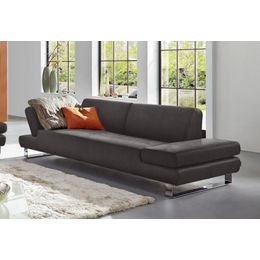 3-Sitzer W.Schillig "taboo Designsofa mit hohem Sitzkomfort, Breite 232cm, Sitztiefe 69cm", braun (mocca s37), B:232cm H:76cm T:101cm, Flachgewebe S22 (100% Polyester);Stoff S37 (100% Polyester): Luxus-Microfaser in Lederoptik;Longlife Xtra-Leder Z59: Glattleder mit modischer Pr&auml;gung. Hautst&auml;rke 0, 9 - 1, 1 mm;Longlife Xtra-Leder Z69: Das feinnarbige, gedeckte Softleder Z69 besticht durch seine au