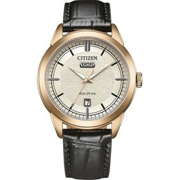 Citizen Schwarz Herren Armbanduhr AW0153-04AC
