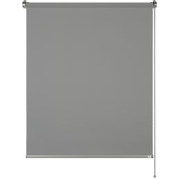 Sch&ouml;ner Wohnen Kollektion Seitenzugrollo "Tageslichtrollo Tizia", grau (anthrazit), B:80cm H:210cm, Polyester, SCH&Ouml;NER WOHNEN-KOLLEKTION, Rollos, Seitenzugrollo, geklebt, geklemmt, silberne oder wei&szlig;e Rollo-Technik