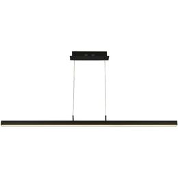 Searchlight Pendelleuchte "Tribeca Strahler - schwarzes Metall", Energieeffizienz: G (A-G), schwarz, wei&szlig;, klar, H: 7cm, 1 Stk., Leuchten, Pendelleuchte