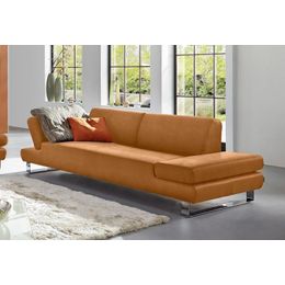 3-Sitzer W.Schillig "taboo Designsofa mit hohem Sitzkomfort, Breite 232cm, Sitztiefe 69cm", gelb (brandy s37), B:232cm H:76cm T:101cm, Flachgewebe S22 (100% Polyester);Stoff S37 (100% Polyester): Luxus-Microfaser in Lederoptik;Longlife Xtra-Leder Z59: Glattleder mit modischer Pr&auml;gung. Hautst&auml;rke 0, 9 - 1, 1 mm;Longlife Xtra-Leder Z69: Das feinnarbige, gedeckte Softleder Z69 besticht durch seine au