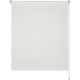 Sch&ouml;ner Wohnen Kollektion Seitenzugrollo "Tageslichtrollo Tizia", wei&szlig;, B:100cm H:150cm, Polyester, SCH&Ouml;NER WOHNEN-KOLLEKTION, Rollos, Seitenzugrollo, geklebt, geklemmt, silberne oder wei&szlig;e Rollo-Technik