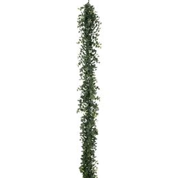 Kunstgirlande Creativ green "Eukalyptusgirlande", grau (grau, gr&uuml;n), L:180cm, Kunststoff, Kunstpflanzen