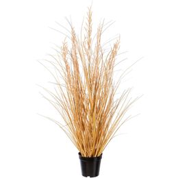 Kunstgras Creativ green "Grasbusch Carex", beige (natur), H:89cm, Obermaterial: 100% Polyethylen, Kunstpflanzen