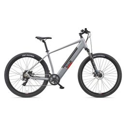 Telefunken M921 E-MTB 29" aluminiumgrau