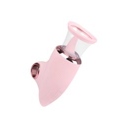 EIS Edler Auflegevibrator mit Pumpe, 17 cm