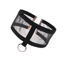 Sportsheets Sheer Day Collar
