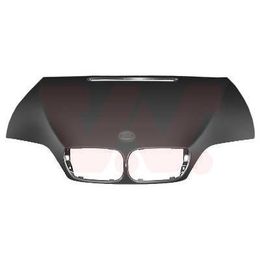 Van Wezel Motorhaube 0649660 vorne f&uuml;r BMW