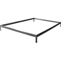 GEW&Auml;CHSHAUS POLYCARBONAT hortensia 4,8m&sup2; Zink