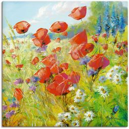 Leinwandbild Artland "Sommerwiese mit Mohnblumen", bunt (farbe bild(er): bunt), B:70cm H:70cm, Bilder, Leinwandbild, auf Holzrahmen gespannt