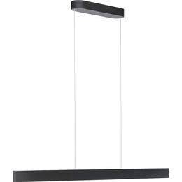 LED Pendelleuchte "Q-STRETTO", schwarz, 1, 1 Stk., NEUHAUS Q DESIGN CONTROL LIGHTS, Leuchten, LED Pendelleuchte