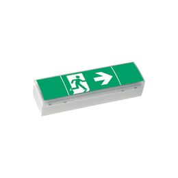 Ceag Notlichtsysteme LED-Einzelbatterie-Leuchte m.Pr&uuml;ftaster SV EURO4L LED 3h SET ; Eaton (40071354776)