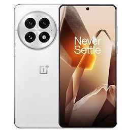 OnePlus 13 Dual SIM 512GB arctic dawn