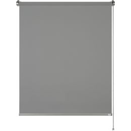 Sch&ouml;ner Wohnen Kollektion Seitenzugrollo "Tageslichtrollo Tizia", grau (anthrazit), B:90cm H:150cm, Polyester, SCH&Ouml;NER WOHNEN-KOLLEKTION, Rollos, Seitenzugrollo, geklebt, geklemmt, silberne oder wei&szlig;e Rollo-Technik