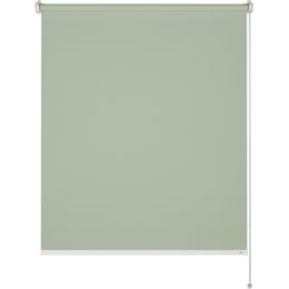 Sch&ouml;ner Wohnen Kollektion Seitenzugrollo "Tageslichtrollo Tizia", gr&uuml;n, B:80cm H:210cm, Polyester, SCH&Ouml;NER WOHNEN-KOLLEKTION, Rollos, Seitenzugrollo, geklebt, geklemmt, silberne oder wei&szlig;e Rollo-Technik