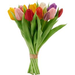 Kunsttulpe Creativ green "Tulpenbund", bunt, H:30cm, Kunststoff, Kunstpflanzen, aus 16 Einzelstielen